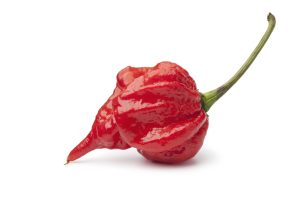 Scorpion Pepper: Guide To One Of The World's Hottest Peppers