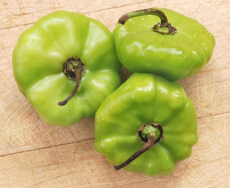 Aji Dulce: What To Know About This Sweet Caribbean Pepper