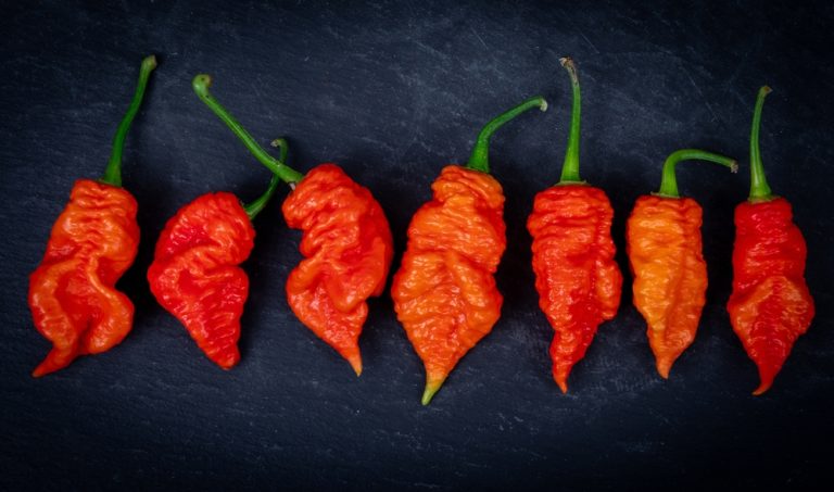 Death Spiral Pepper: A Super-Hot That Rivals The Reaper