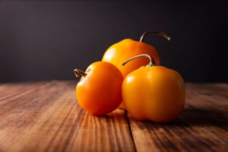 Manzano Pepper: A Cool Weather South American Chili