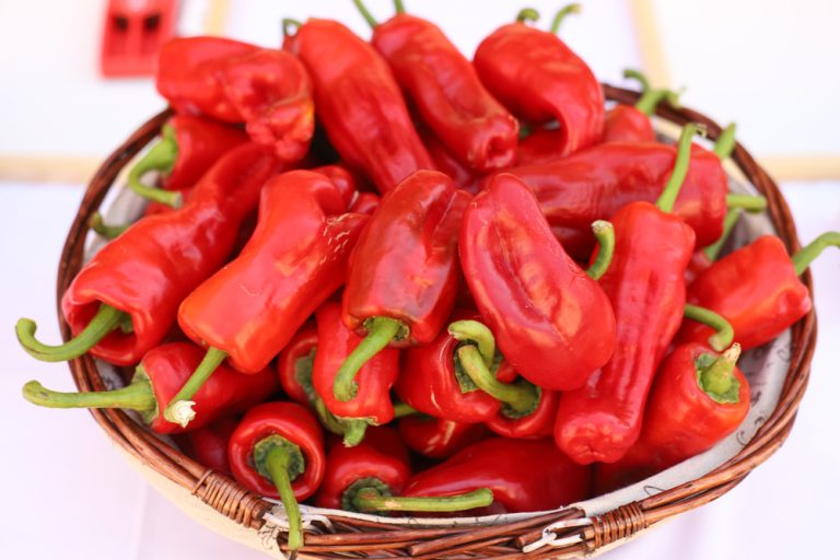 Isot Pepper: Turkish Urfa Biber Chile Flakes - Pepperdodo