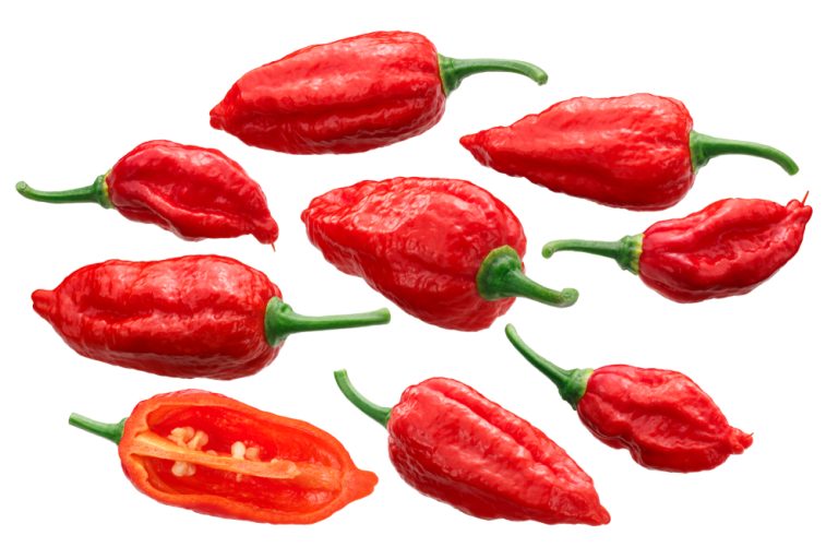 Naga Morich Pepper: Rare Ghost Pepper Rival And Relative