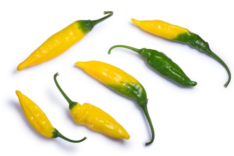 Aji Pineapple: Fresh & Fruity Medium-Heat Peruvian Chile