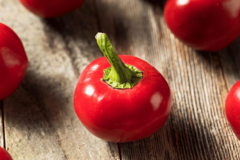 Cherry Bomb Pepper: Sweet, Mild-Heat Hybrid Peppers