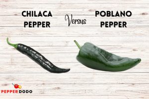 Chilaca Peppers: Family-friendly Mexican Chiles