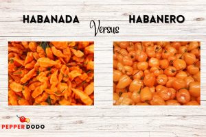 Habanada Pepper: The Fruity Habanero With "Nada" Heat