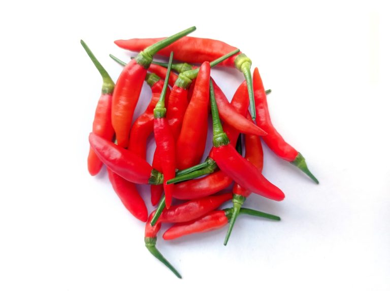 Super Chili Pepper: Award-Winning Ornamental Chili Pepper