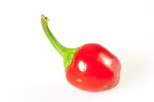 Wiri Wiri Pepper: Tiny, Spicy Cherry Tomato-Like Chiles