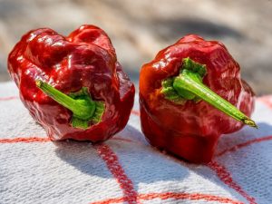 7 Pot Brain Strain: Creepy-Looking Human Brain Superhot