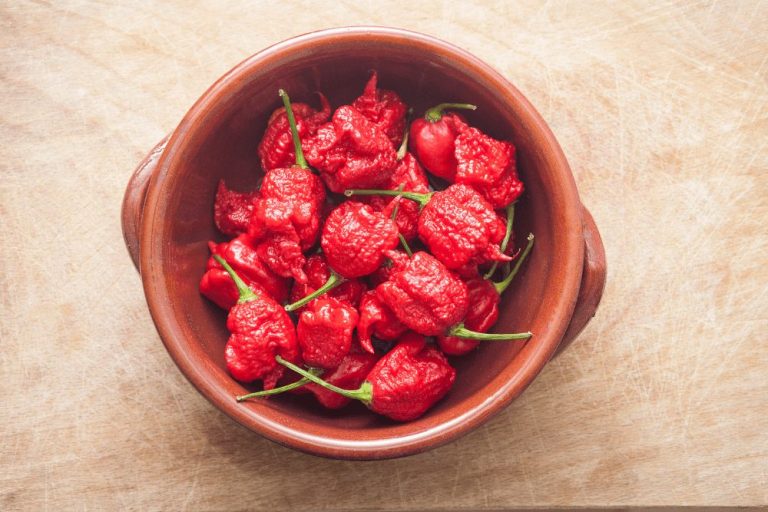 Carolina Reaper: Officially The Hottest Pepper In The World