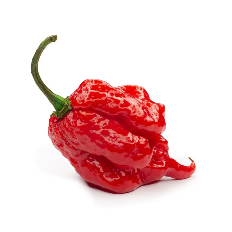 Carolina Reaper: Officially The Hottest Pepper In The World