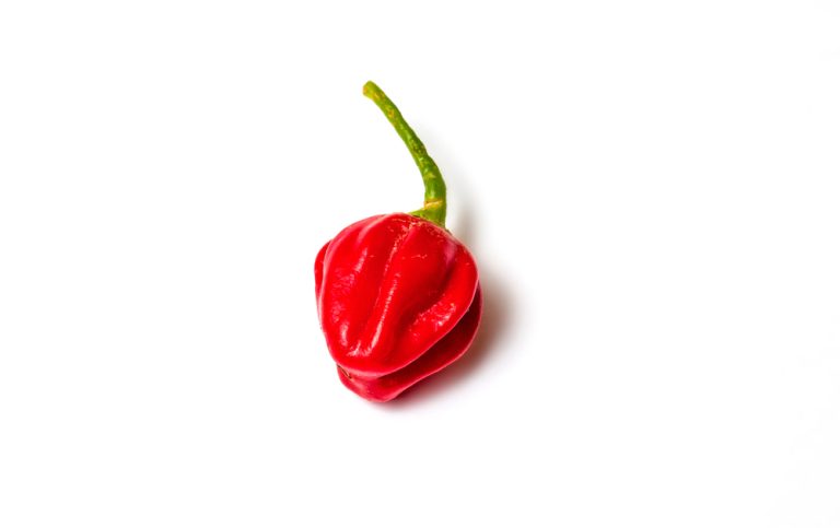 Infinity Pepper: A Chili With Scorching Heat That Lingers